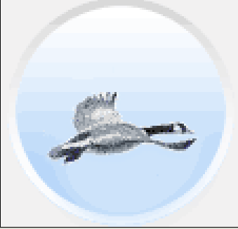 ArnoldIT Services | Xenky.com